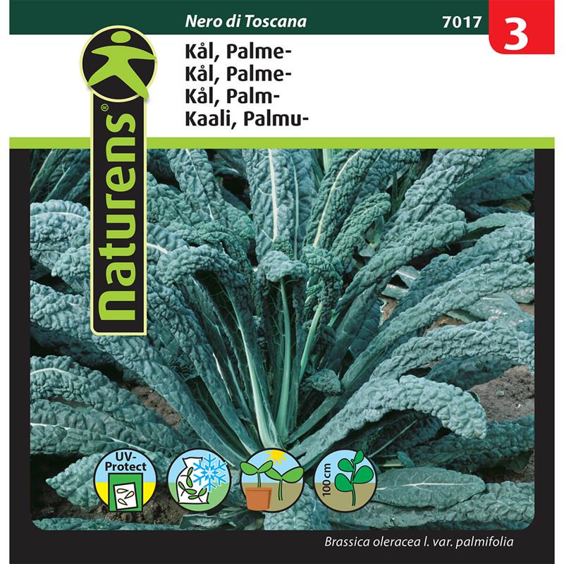 Palmekål | Gr. 3